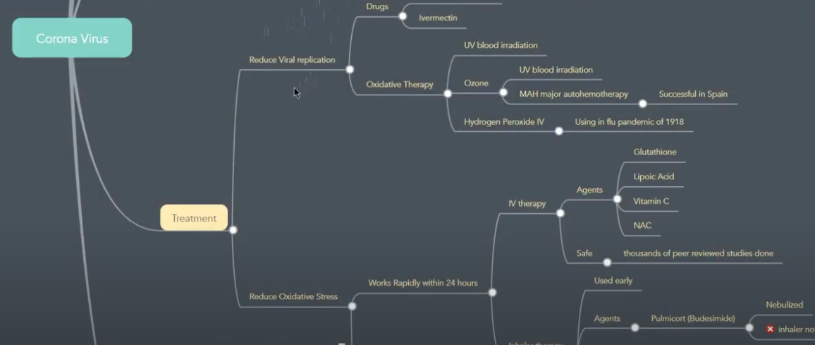 Coronavirus Mindmap and Possible Intervention – Agape Nutrition